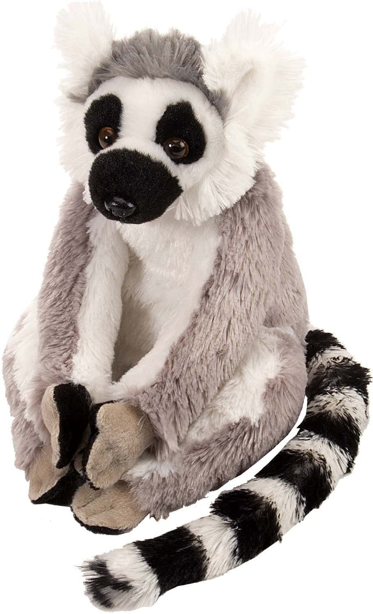 Ring Tailed Lemur – Elements Museum Store at the Museum of Life and Science