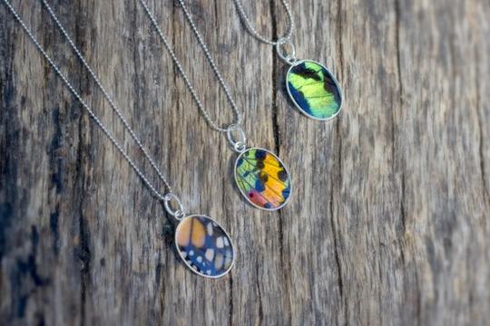 Jewelry – Elements Museum Store at the Museum of Life and Science