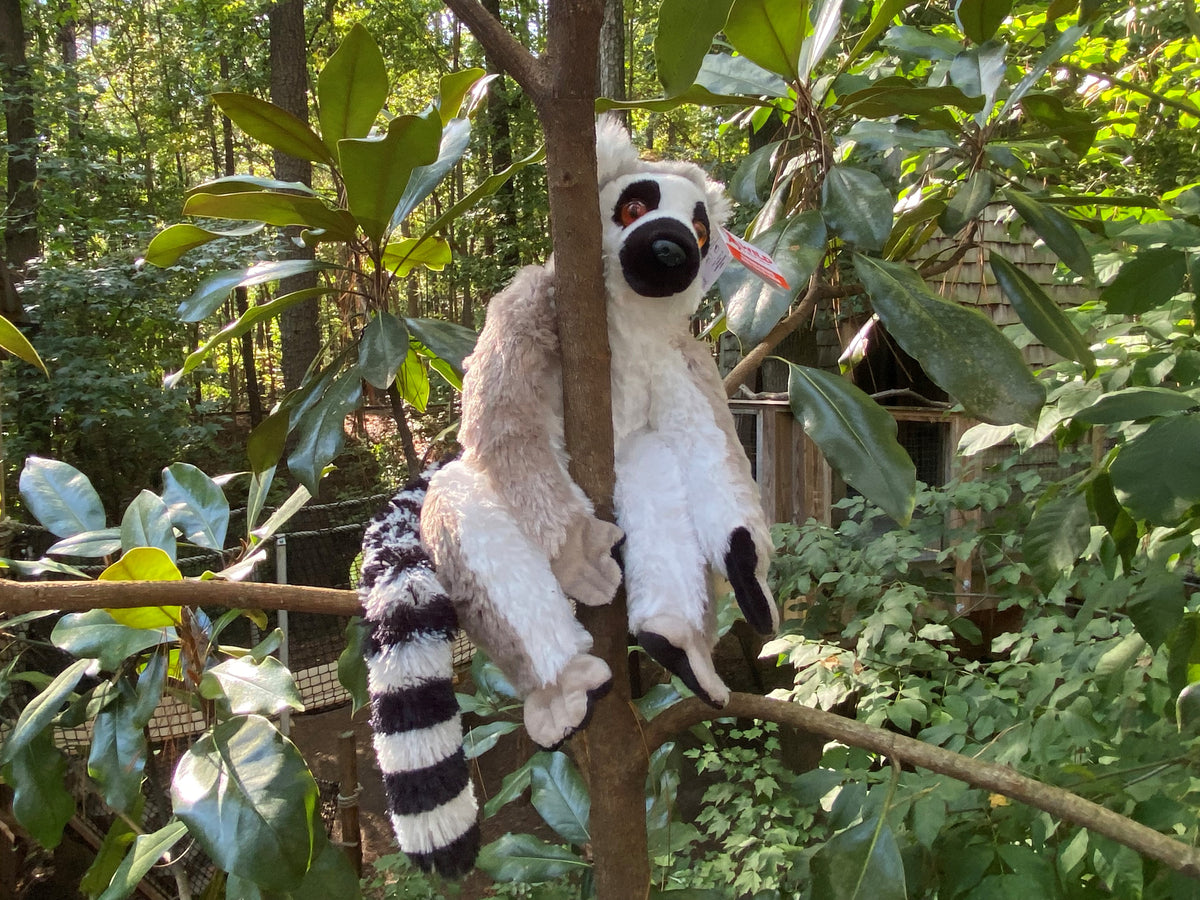 Ring Tailed Lemur Plush – Elements Museum Store at the Museum of Life ...